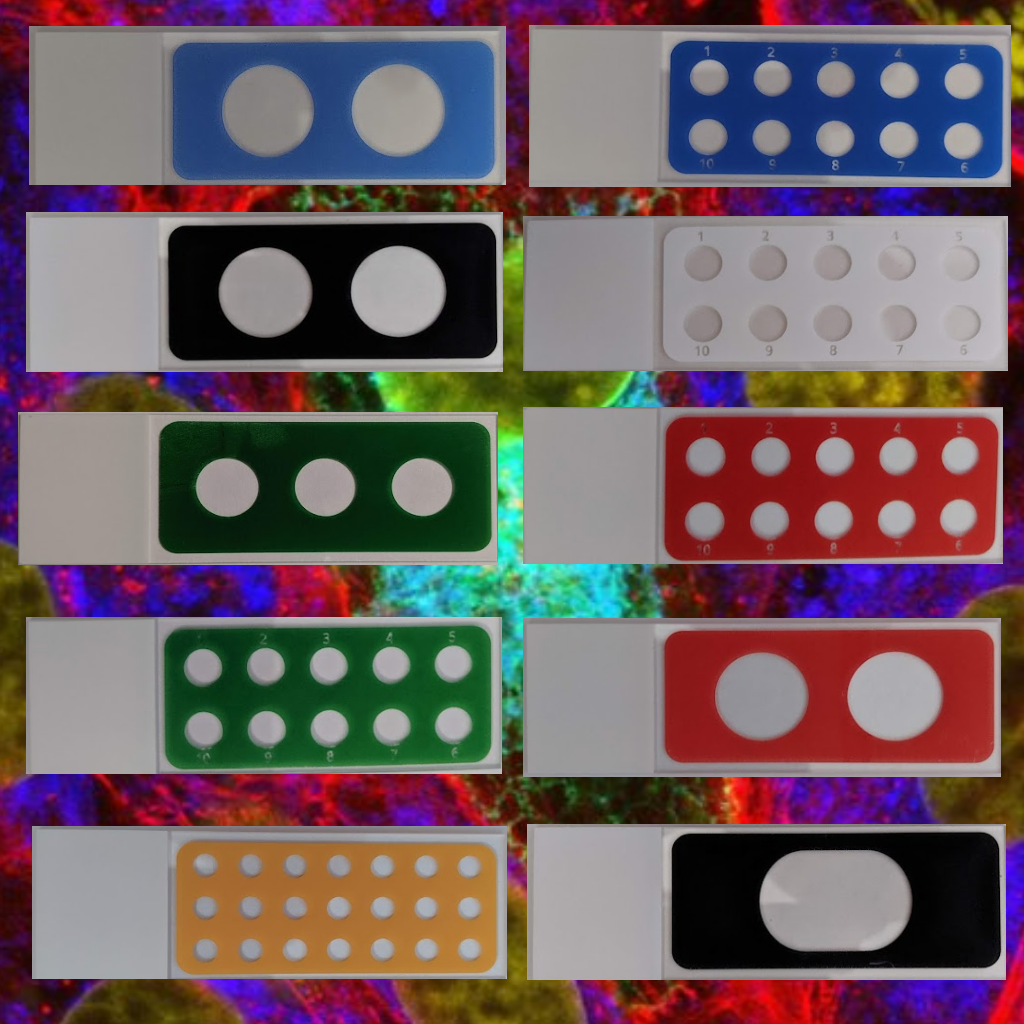 MicroSlide B2 [20 Slides] – CYTONIX